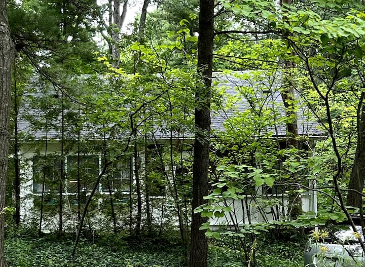 True Grand Bend Cottage - Grand Bend