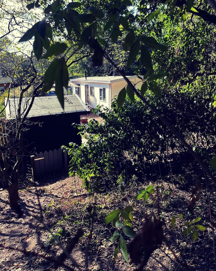 Heerlijk Bos Chalet Met Ongekende Rust En Vrijheid - Nunspeet