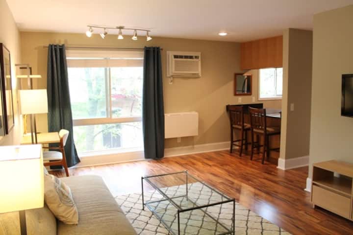 Lake Calhoun Condo - Minneapolis, MN