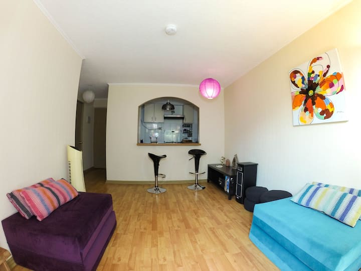 Cozy Minimal Style Apartment - Metro Santa Isabel - Providencia