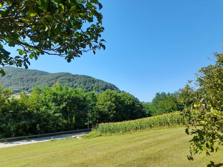 Vikendica Petković - Bajina Bašta