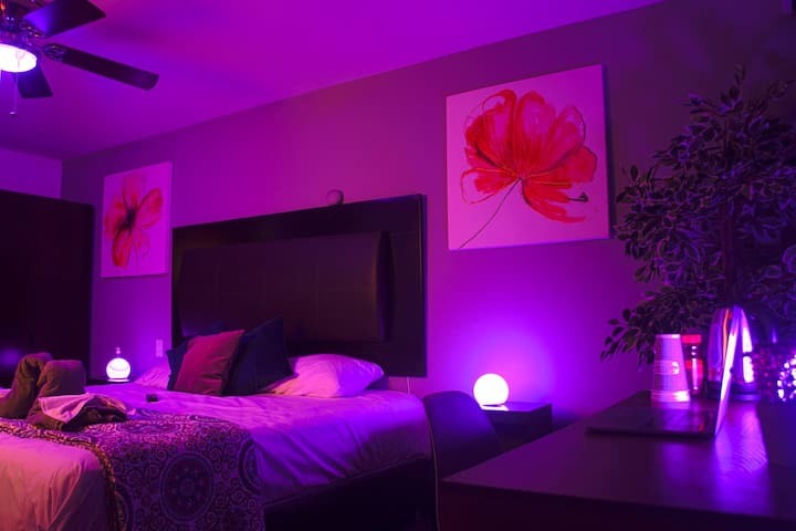 A8 Hermosa Habitación - Guadalajara