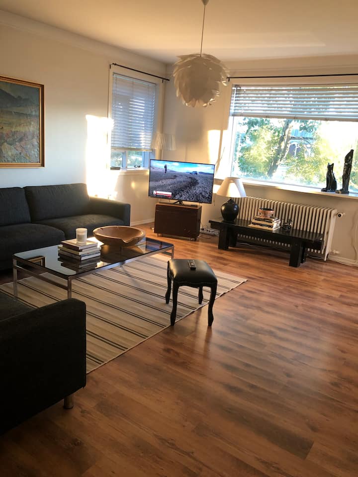 Cozy One Bedroom Apartment - Best Location - Reykjavík