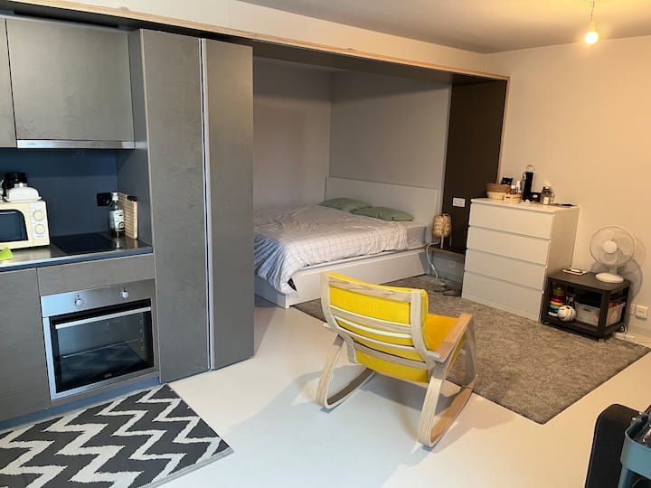 Furnished Studio In Nyon Center - Nyon