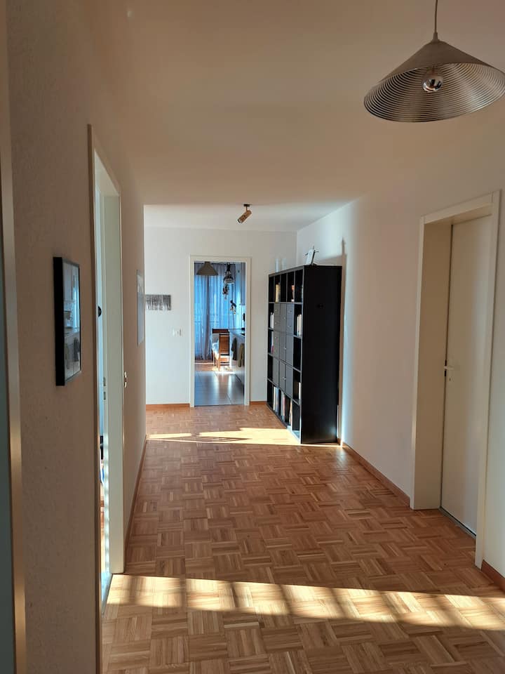 Genève : Appartement Lumineux Et Spacieux - Genève
