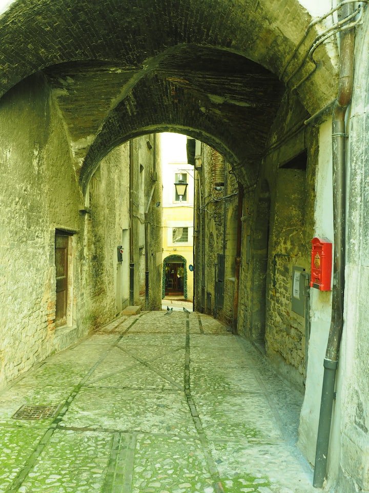 La Dimora Nella Storia. La Spoleto Medievale - Spolète