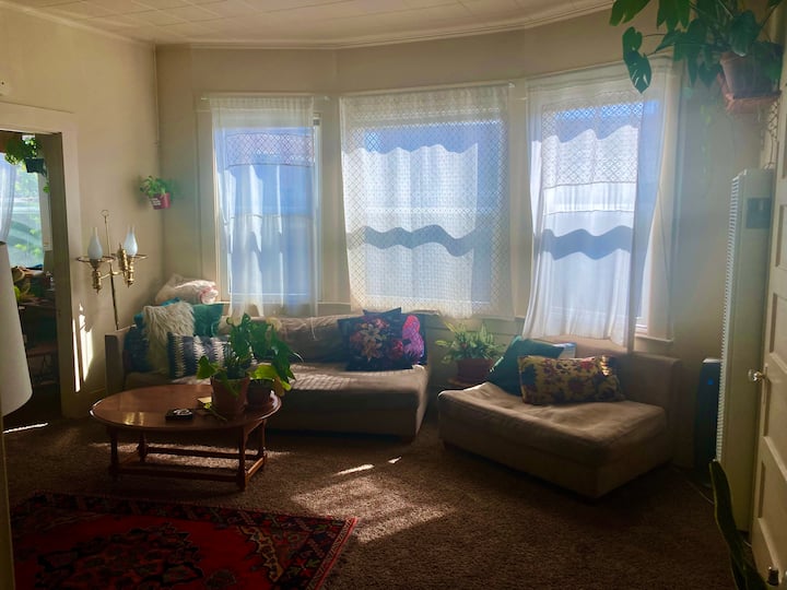 Sun-filled Plant-filled Bedroom Near Lake Merritt - Alameda, CA
