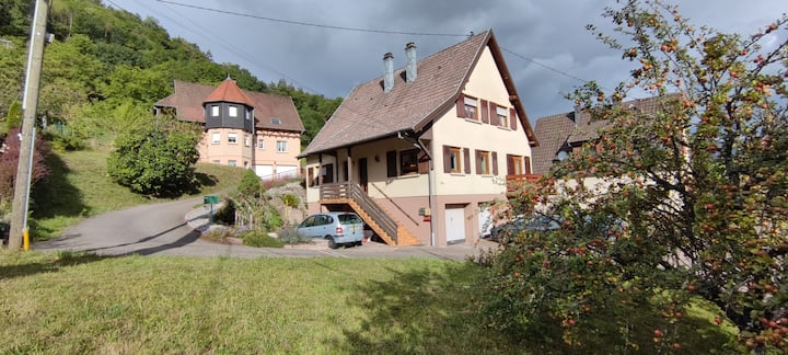 3 * * *  Calme Et Spacieux - Munster