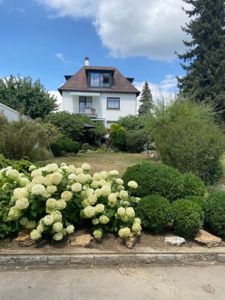 Sonnige 2-zimmer Wohnung Im Grünen - Stuttgart