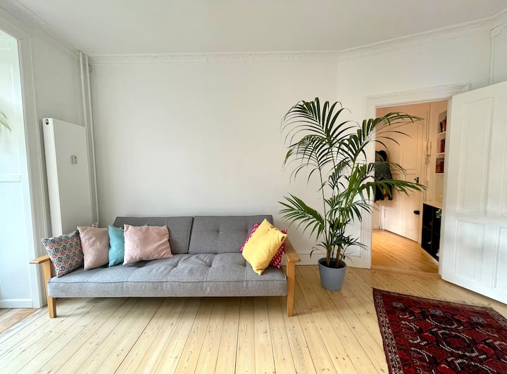 Charming 1 Bedroom Apartment - Heart Of Copenhagen - Copenhague