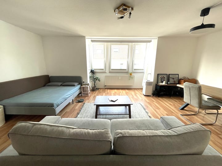 Modern Condo With Lift In Central Of Mainz City - Mainz