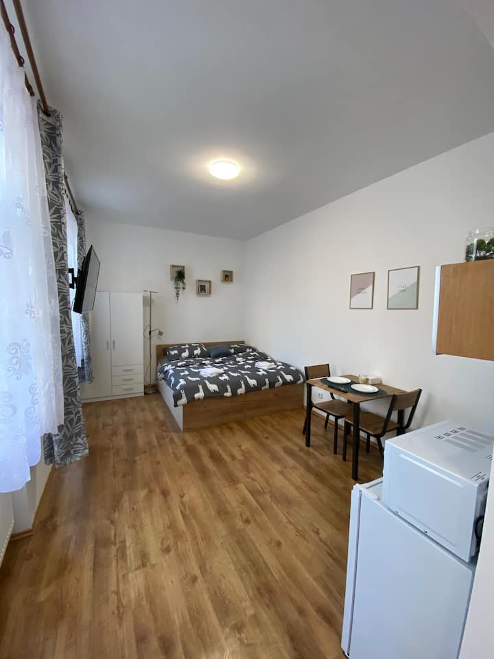 Cozy 1 Br Studio In The Center Of Pilsen - Plzeň