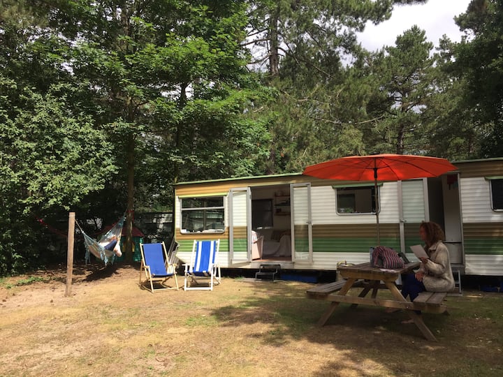 Heerlijke Ruime Lichte Caravan In Het Dennenbos - Egmond aan Zee