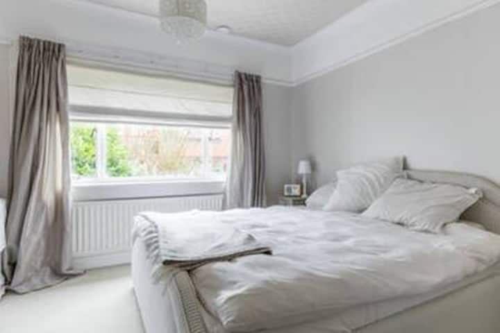 Quiet Room In Leafy Malone - Belfast