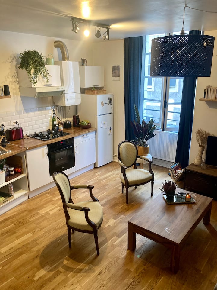 Nantes : Appartement En Hyper Centre. - Nantes