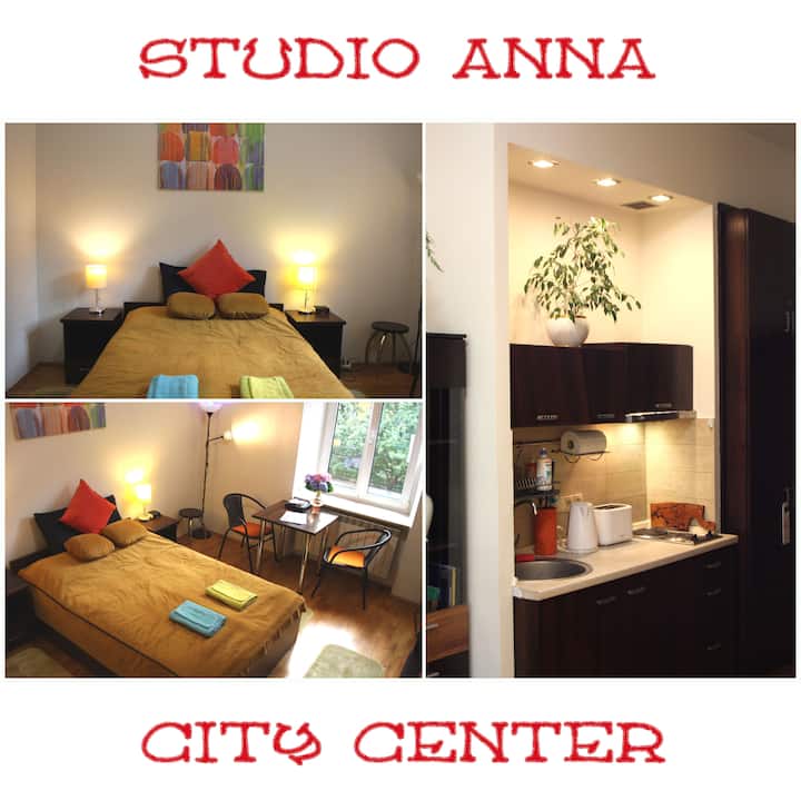 Anna Studio, Downtown, Wifi - Cracovia
