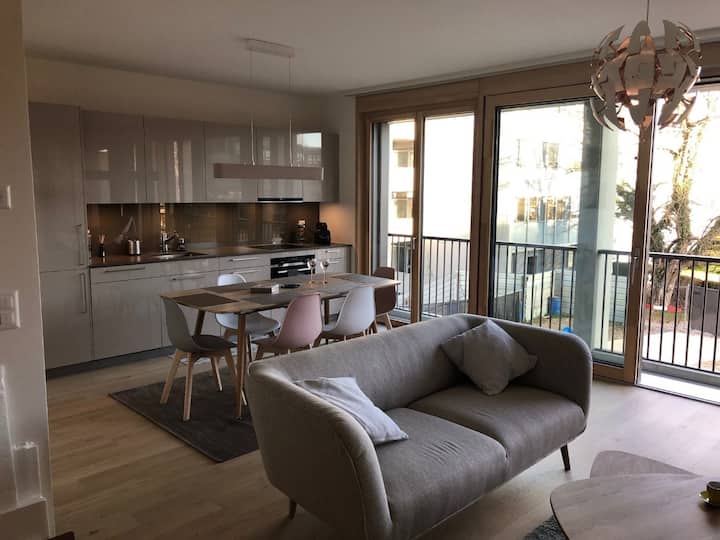 Logement Au Cœur Des Organisations Internationales - Cenevre, İsviçre