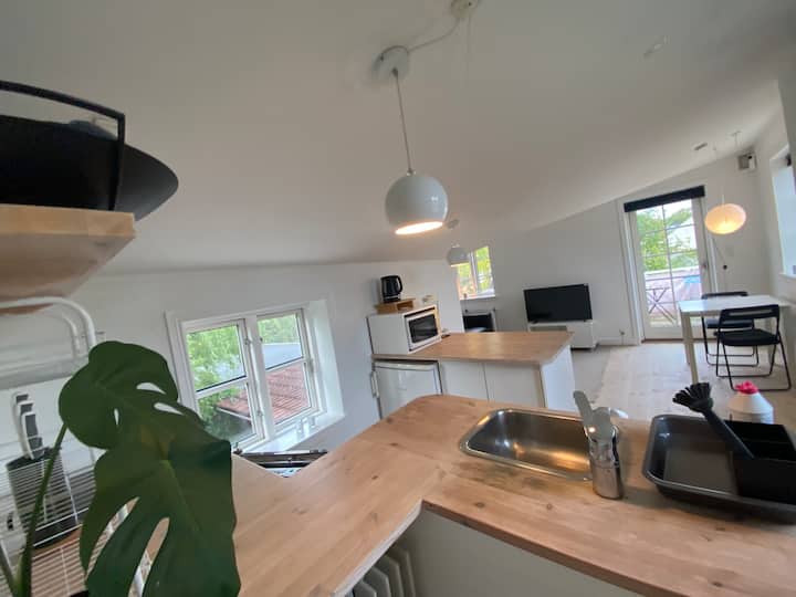 Skønt Hus. Ro. Gratis Parkering. Søudsigt. - Kopenhagen
