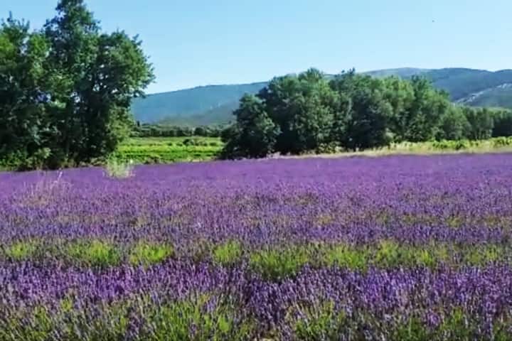 Jolie Maison De Ville - Jardin - Parking Gratuit - Valréas