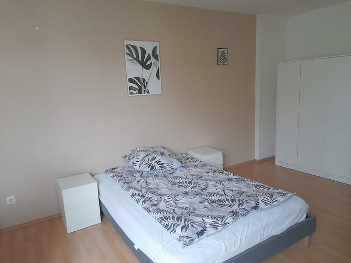 Großes Zimmer In Ruhiger Lage - Magdeburg