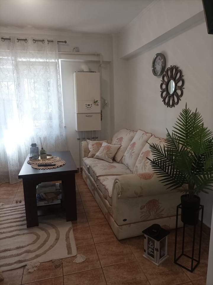 Apartament Cochet Si Primitor! - Băbeni