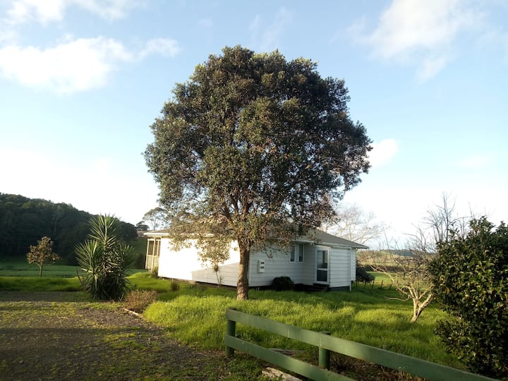 The Rebel Farm - Waiuku
