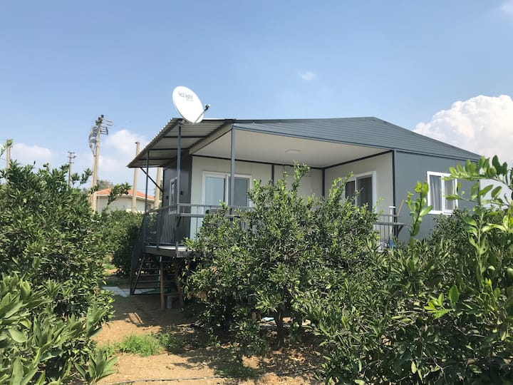 Mandalina Bahçesi Içerisinde Bol Oksijen - Seferihisar