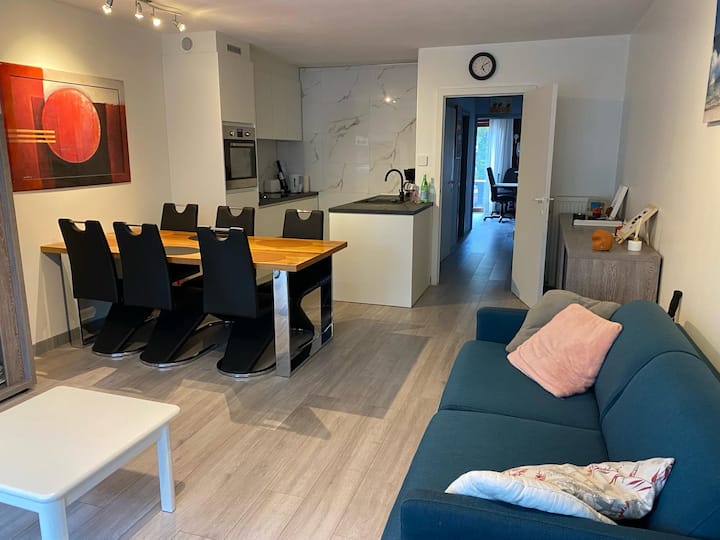 50m Van De Zeedijk Met Garage - Koksijde