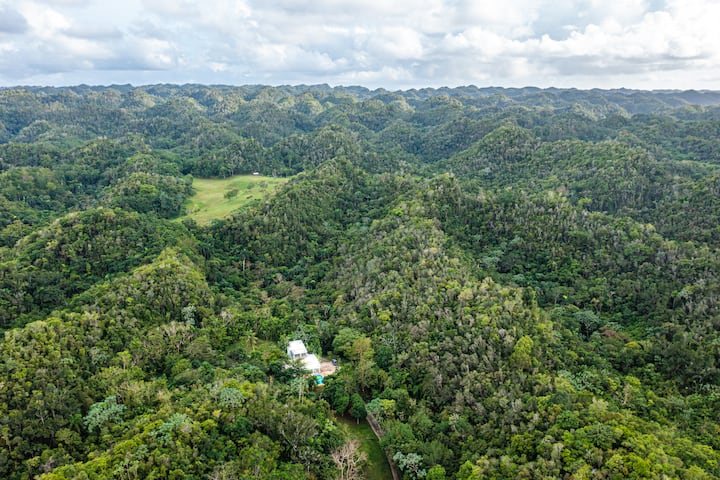 Forest Retreat In Isabela, Pool & Jacuzzi - Puerto Rico