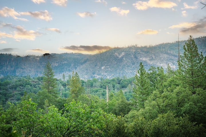 Bass Lake & Yosemite Cabin With A View- Sleeps 12 - Bass Lake, CA