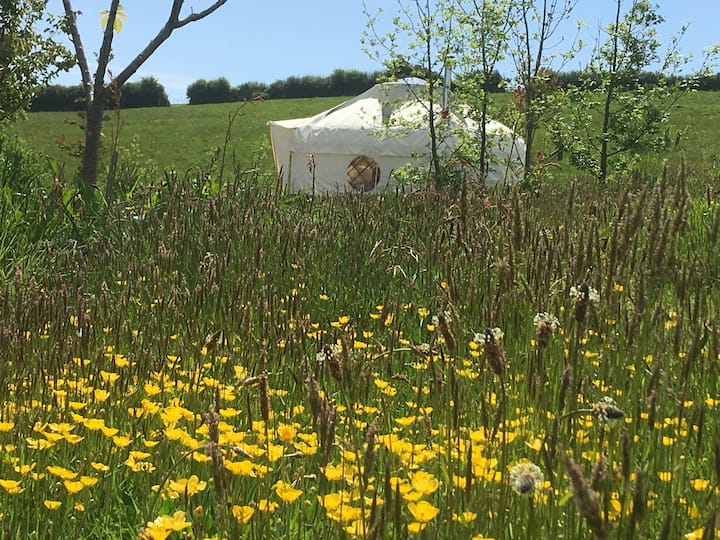 Lansallos Yurt With Hot Tub And Sauna - Polperro