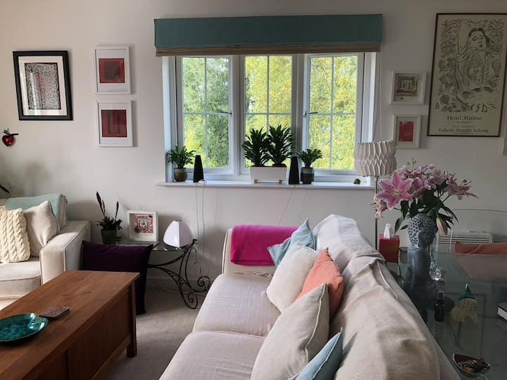 Large Room In Lovely Bright Modern Flat, Cranleigh - Godalming