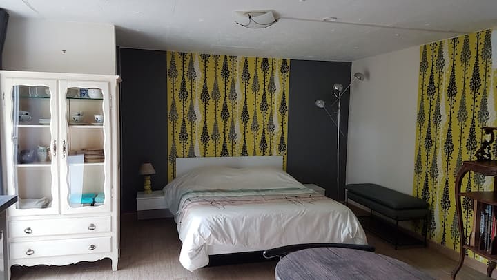 Chambre Indépendante Avec Cuisinette Et Sauna - Cesson-Sévigné
