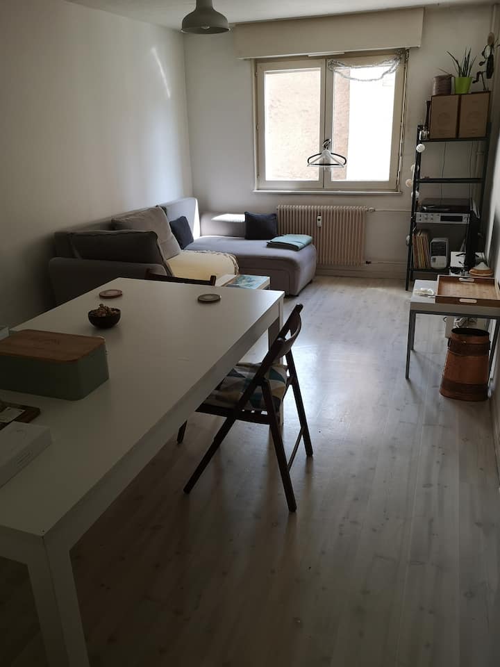 Spacieuse Chambre Idéalement Située, Parking Privé - Strasbourg