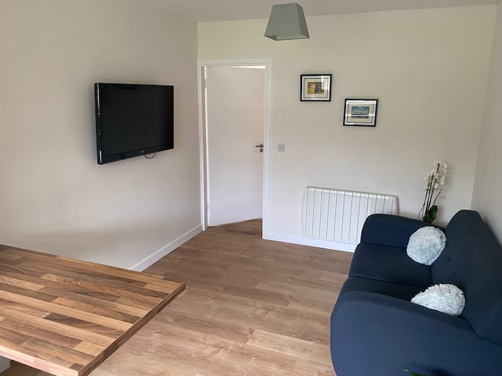 Beautiful One Bedroom Apartment In Galway City - Galway
