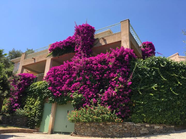 Deux Appartements Réunis Pour 9 à Erbalunga - Brando