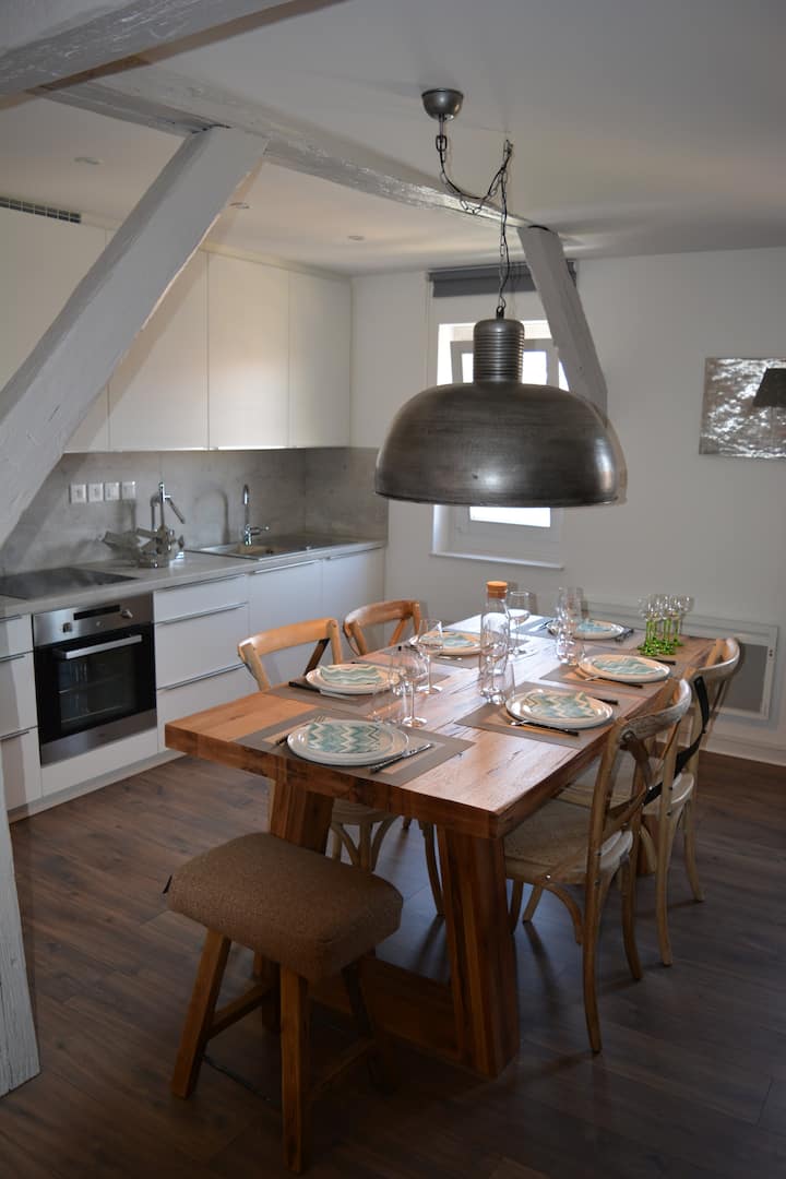 Un Loft Sur La Petite Venise - Colmar