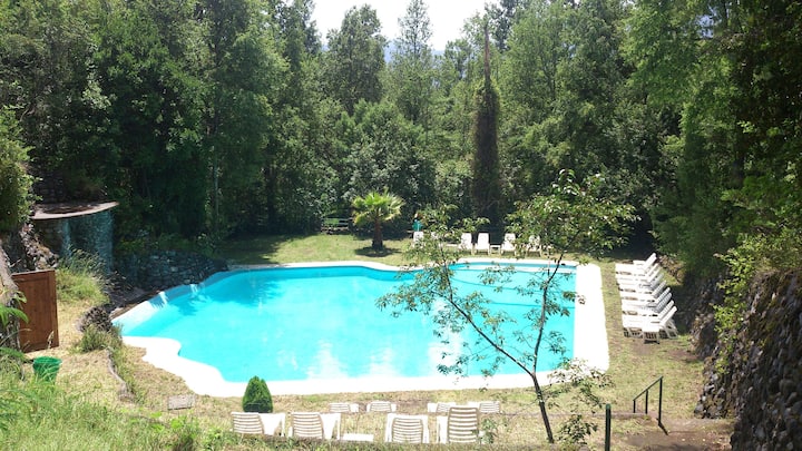 Cabaña Bosque Pucón 6pax-piscina, Juegos, Senderos - Pucón