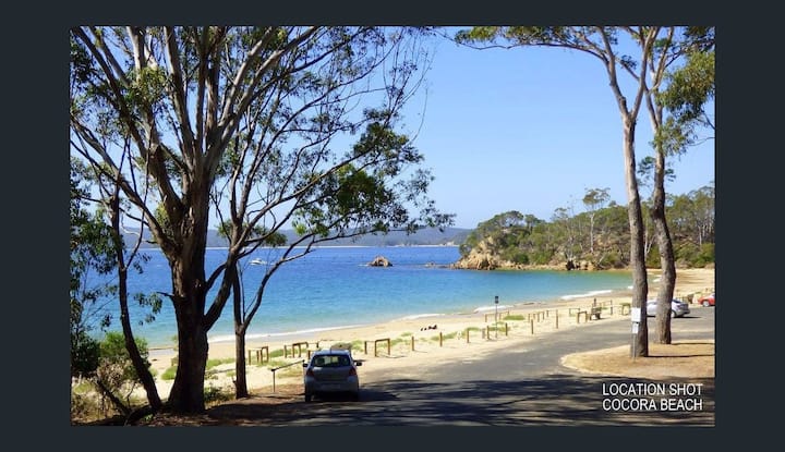 Beach & Bellbirds - Eden