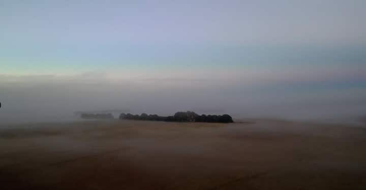 Wongalea - The Hay Bales - Hamilton