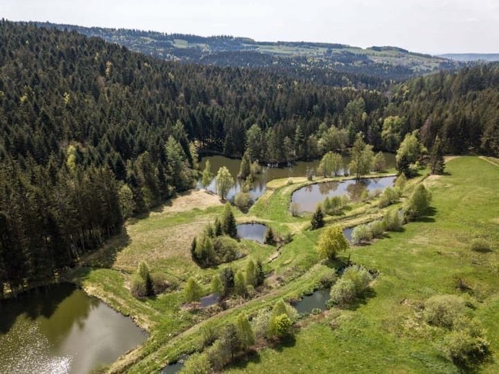 Grand Chalet Niché Dans La Nature Vosgienne - Vosges