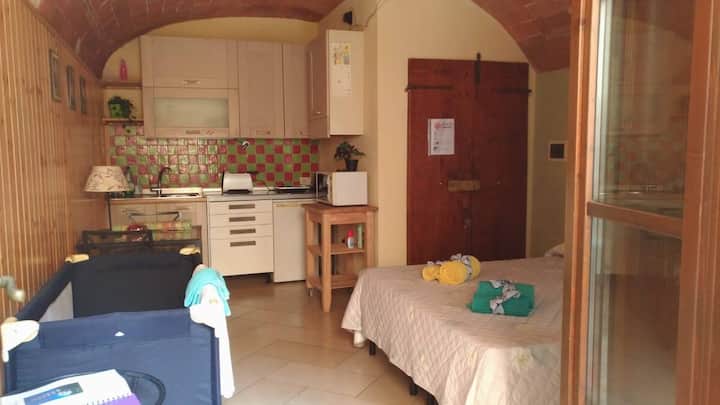 Monolocale/studio In Centro Storico Airconditioned - Pisa