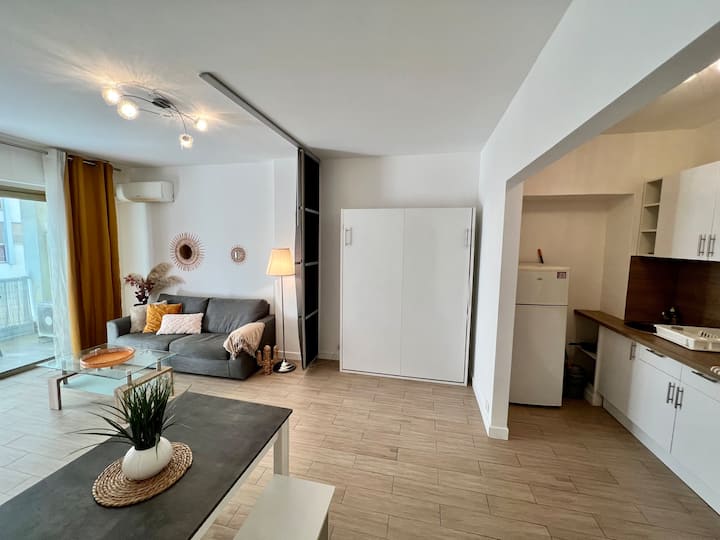 Charmant Grand Studio 2 Lits Clim - Cannes