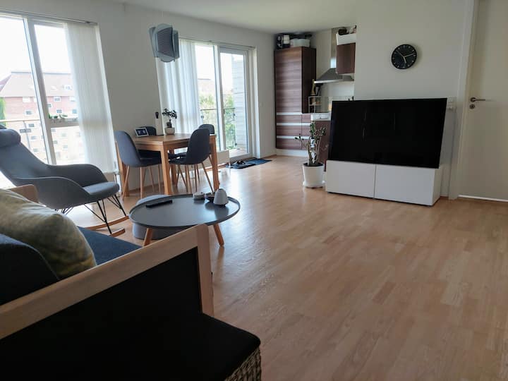 Bolig Med Stor Altan Centralt Ved Universitet - Aarhus
