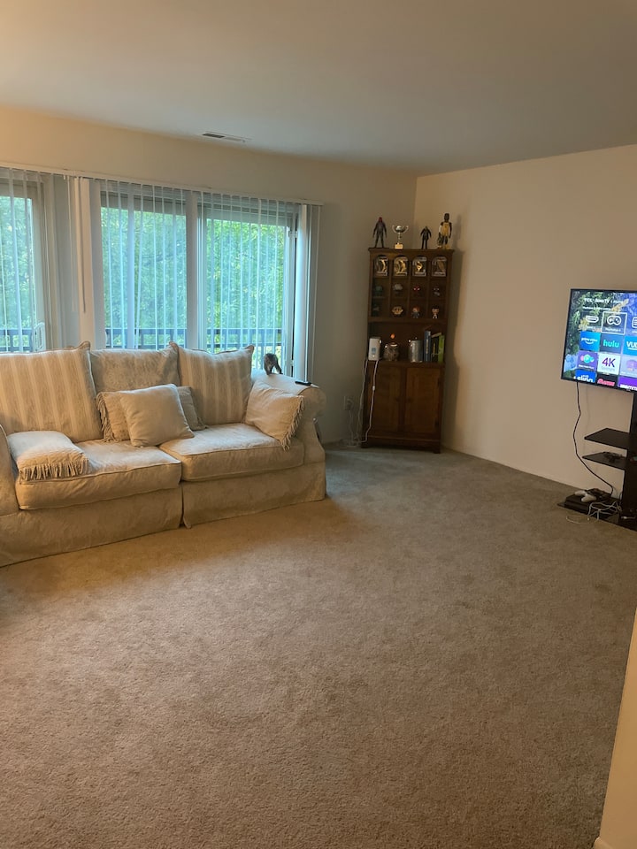 Cozy 1 Bedroom Apartment In Ann Arbor - 앤아버