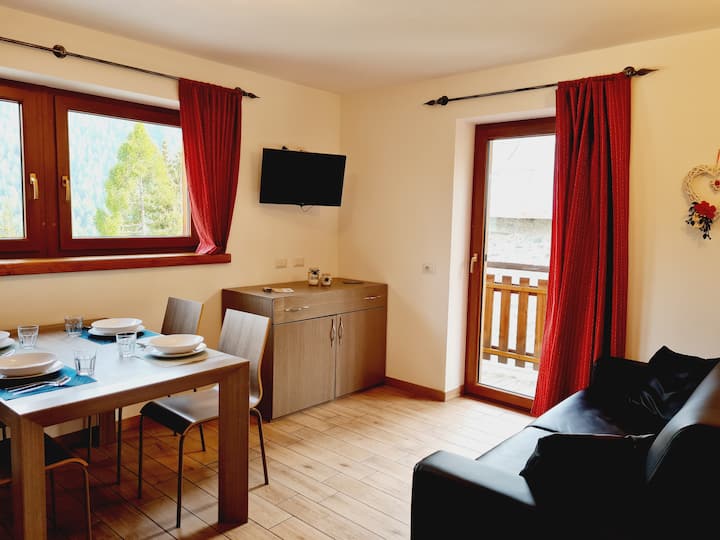 Chalet Selva Lanfranchi - Two Rooms Apartment - Livigno