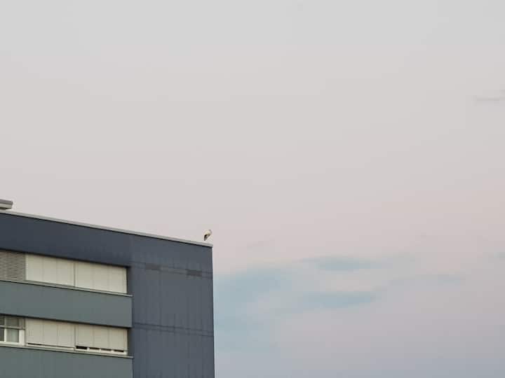 Lovely Studio In Nyon - スイス ニヨン