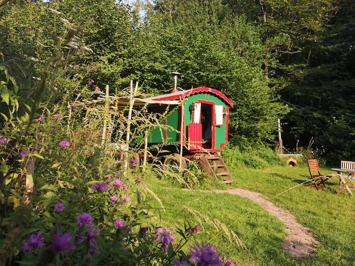 A Cosy Waggon Immersed In Nature - Dulverton
