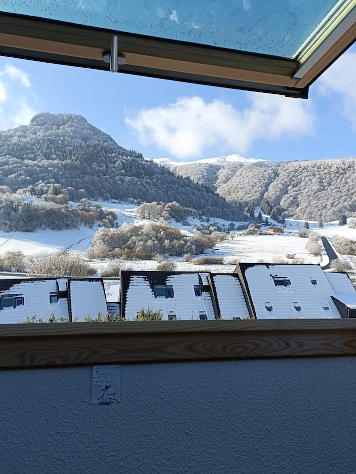 Appartement Cosy 2 Chambres. Vue Sur La Montagne - Chambon-sur-Lac