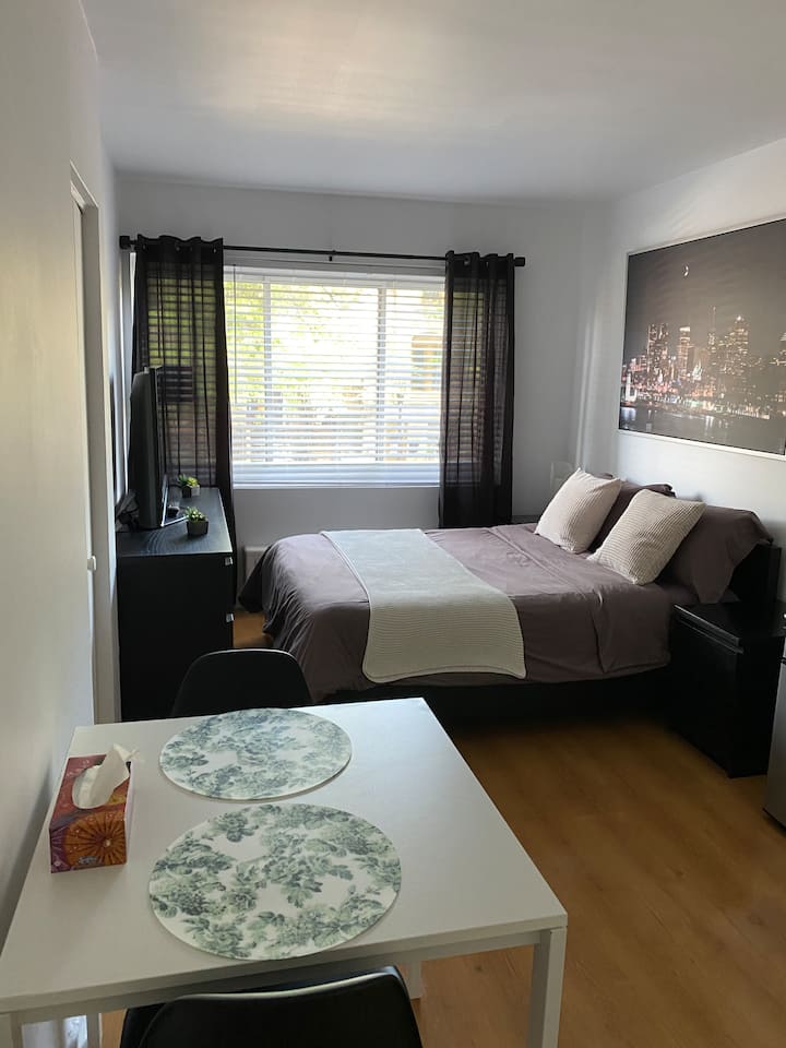 Charming Small Studio Sur Le Plateau Mont-royal - Montreal